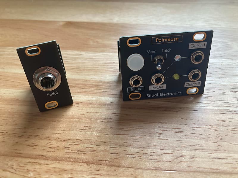Ritual Electronics Pointeuse 1u Eurorack Module | Reverb