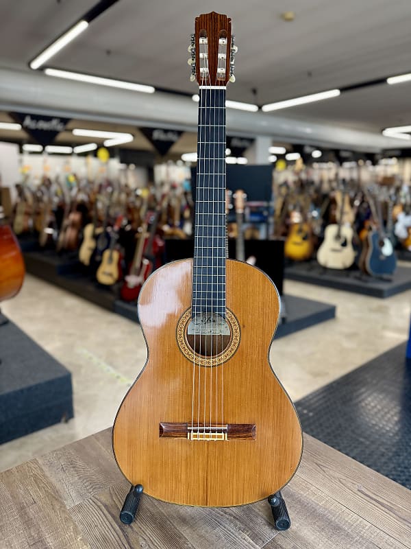 Aria A554 + CUSTODIA | Reverb