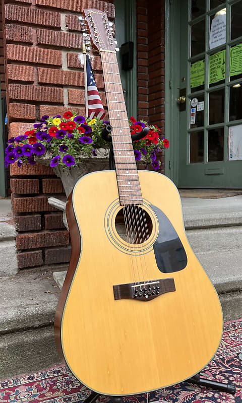 Vintage 1997 Fender DG-10/12 Acoustic 12 String Guitar~Pro | Reverb