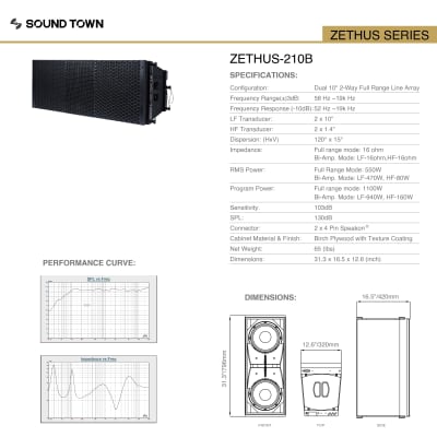 ZETHUS-210B-PAIR | ZETHUS Pair of Dual 10" Line Array Speaker | Reverb