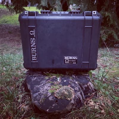 Burns Omega Model 12 Slot Case, Translucent Purple Sparkle, | Reverb