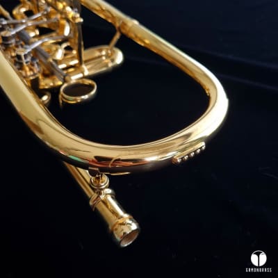 Thein Bb rotary trumpet Orchestral `Matthias Höfs – | Reverb UK