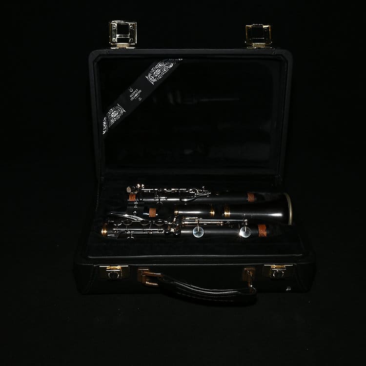 Buffet Zoe Limited BC1104-2-0 Professional Clarinet | Reverb