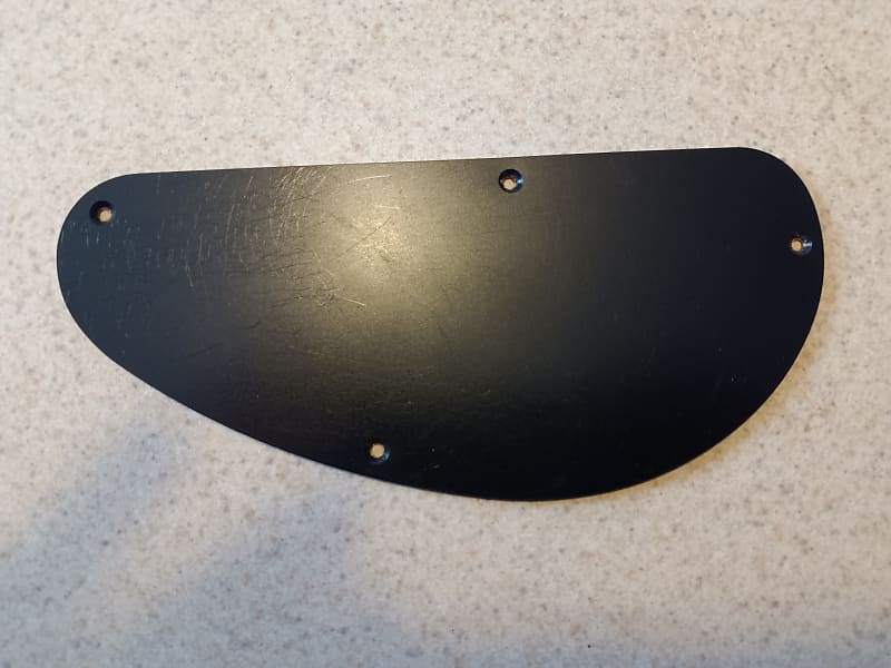 Original Vintage Carvin Control cavity cover plate | Reverb