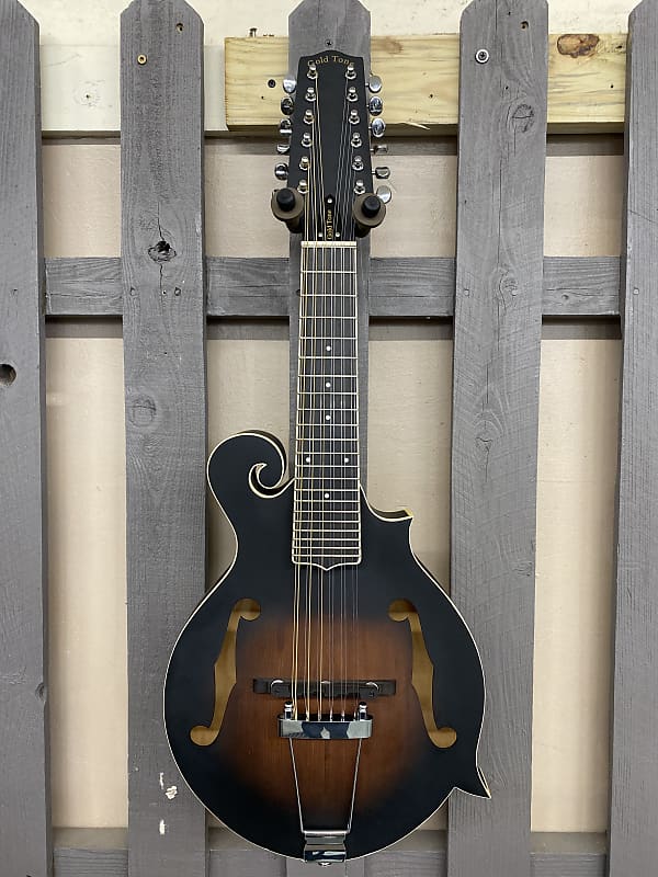 Gold Tone F-12 F-Style 12-String Mando-Guitar w/Pickup (Used) | Reverb