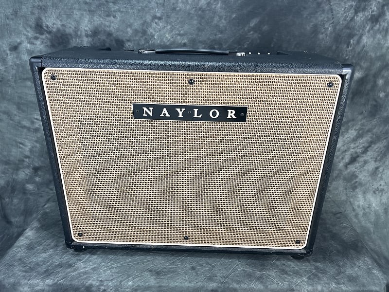 1995 Naylor Electra-verb 60, Eastpointe MI made, low serial | Reverb