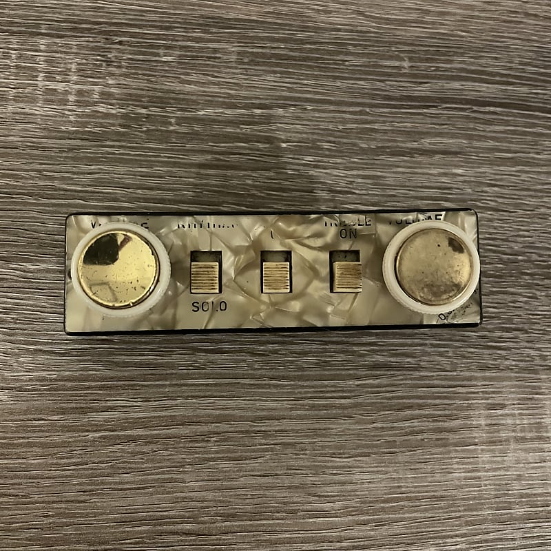 Hofner 1961 Control Panel | Reverb