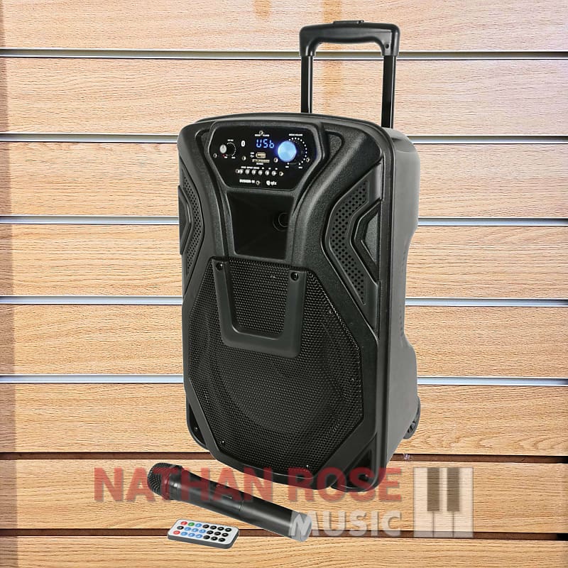 QTX Busker 10 2023 | Reverb