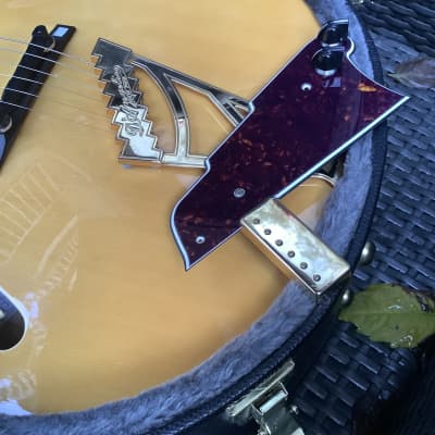 Kent Armstrong D'Angelico tortoise Pickguard floating pickup | Reverb