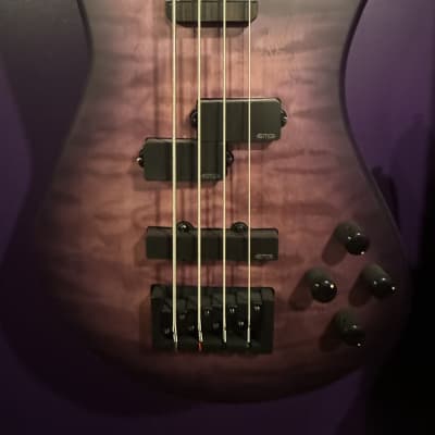 Spector NS 2000/4 Early 2000's Black Trans | Reverb