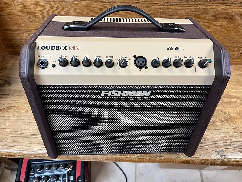 2021 Fishman Loudbox Mini LBT500 Combo Amp w Bluetooth | Reverb