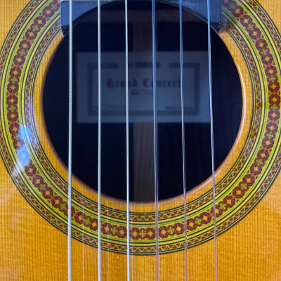 Yamaha GC32(Grand Concert) 2023 Cedar Classical Guitar | Reverb
