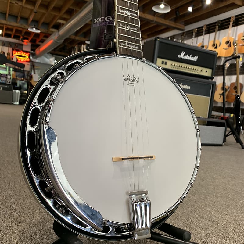 Fender Deluxe 5 String Banjo w/ Case | Reverb