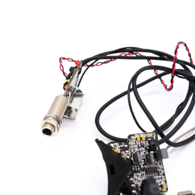 Fishman MX-T Acoustic Guitar Pickup w/Tuner | Reverb