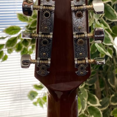 Samick SW 115 Acoustic Guitar | Reverb