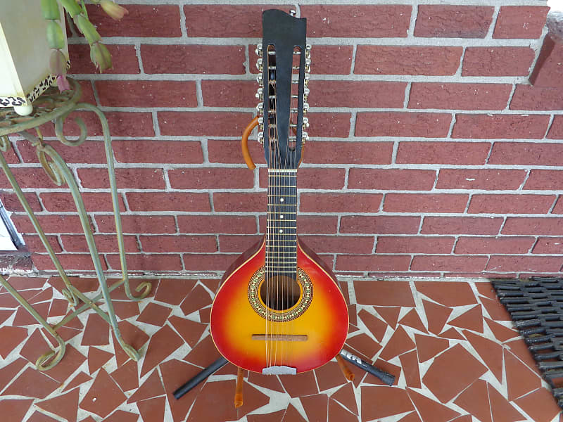 12 String Bandurria w Guitar Tuning - Nashville EADGBE | Reverb