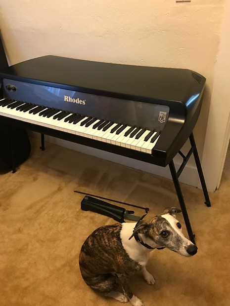 Rhodes Mark 7 (73 Key) 2011 Black Gloss | Reverb