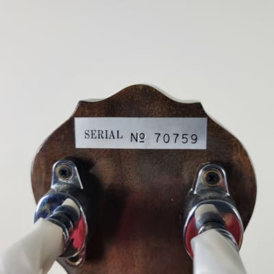 1970's Hohner Masterclone 5-String Banjo MIJ With OHSC | Reverb