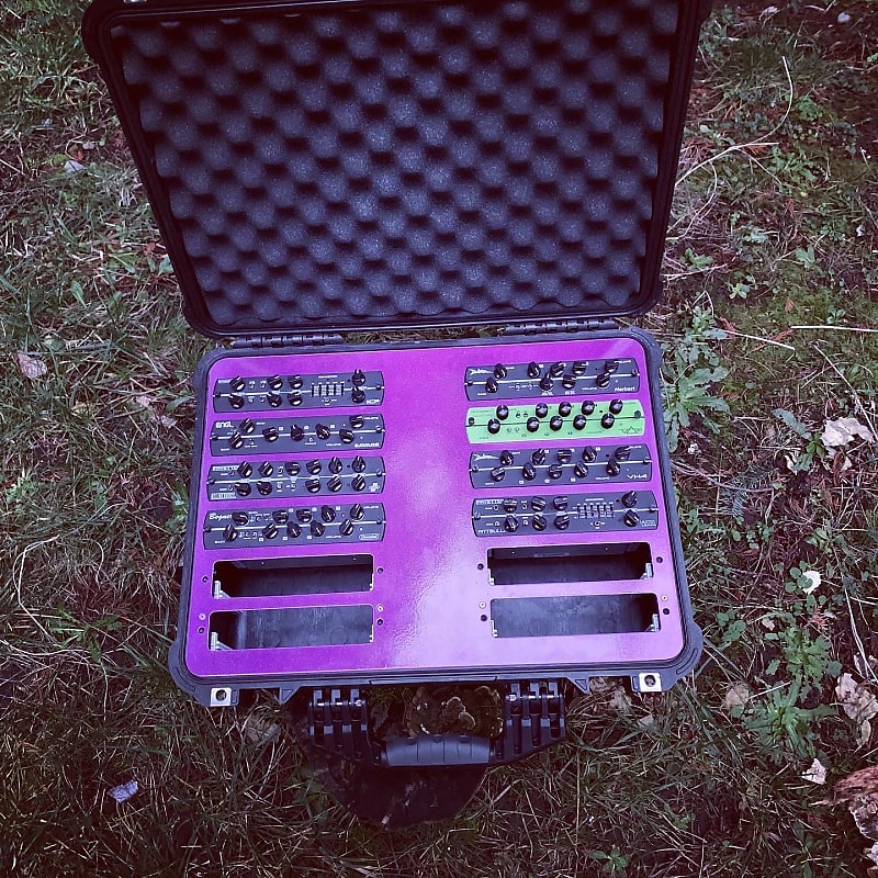 Burns Omega Model 12 Slot Case, Translucent Purple Sparkle, | Reverb