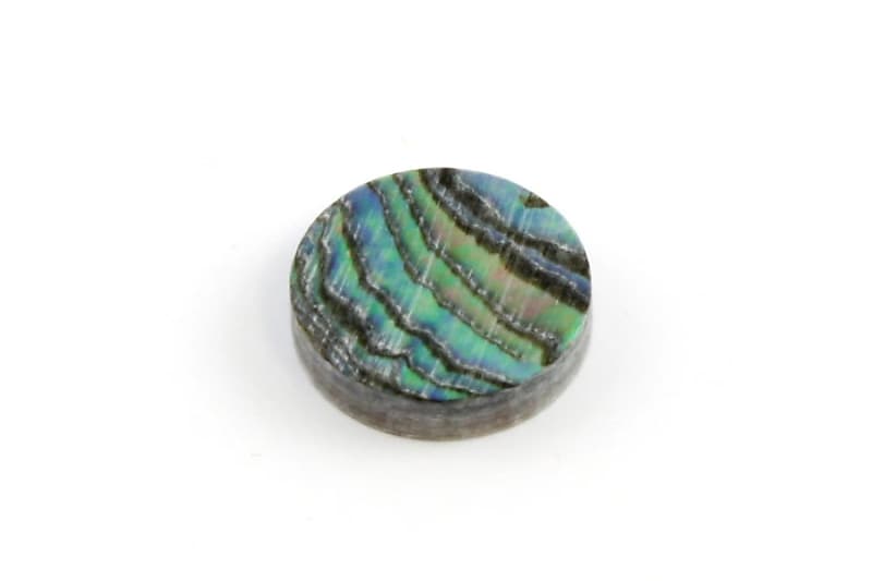 Abalone Metric Inlay Dots 6mm 12 pcs. | Reverb