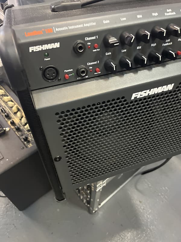 Roland Loud box 100 | Reverb