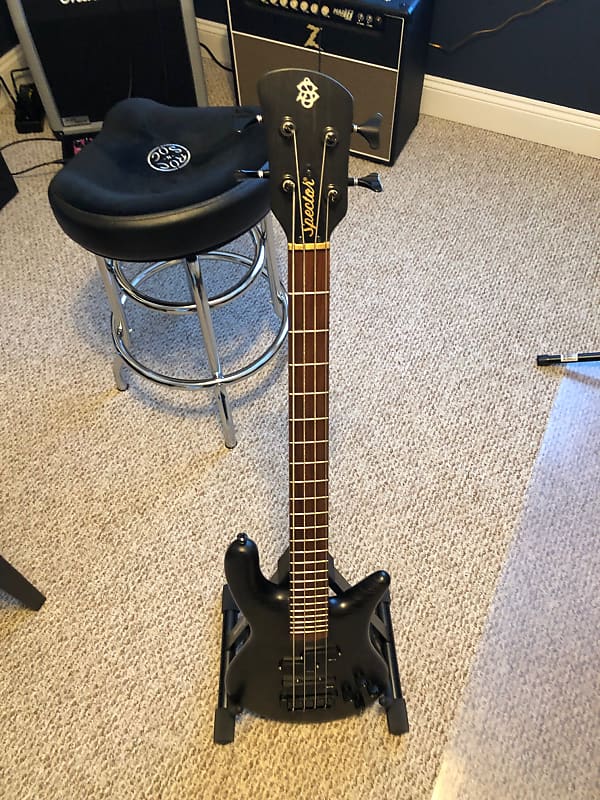 Spector Forte 4 USA Custom 2015 Gray See Through | Reverb