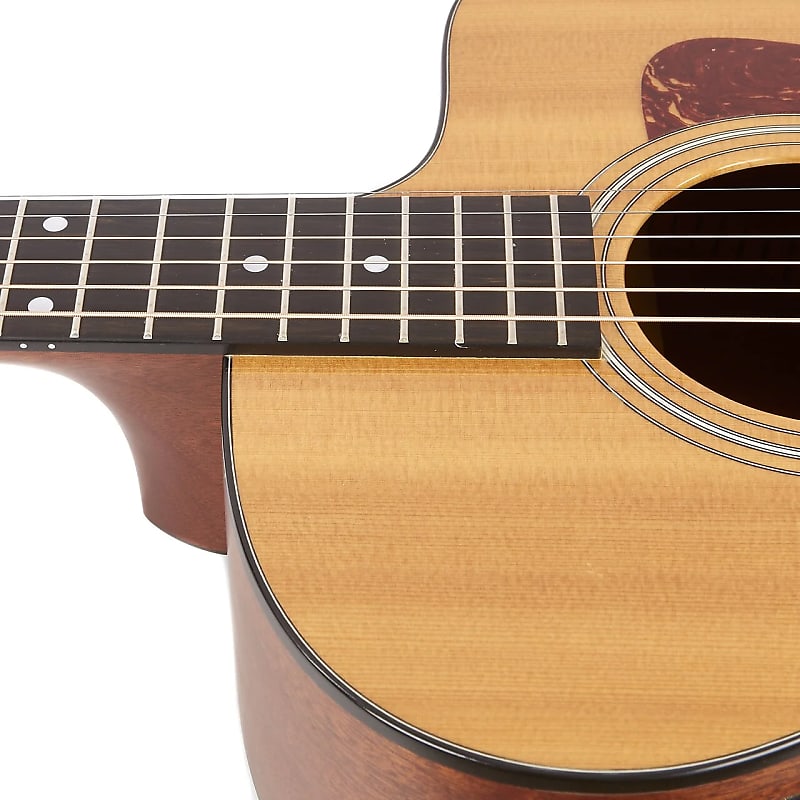 Taylor 315ce with Fishman Electronics | Reverb