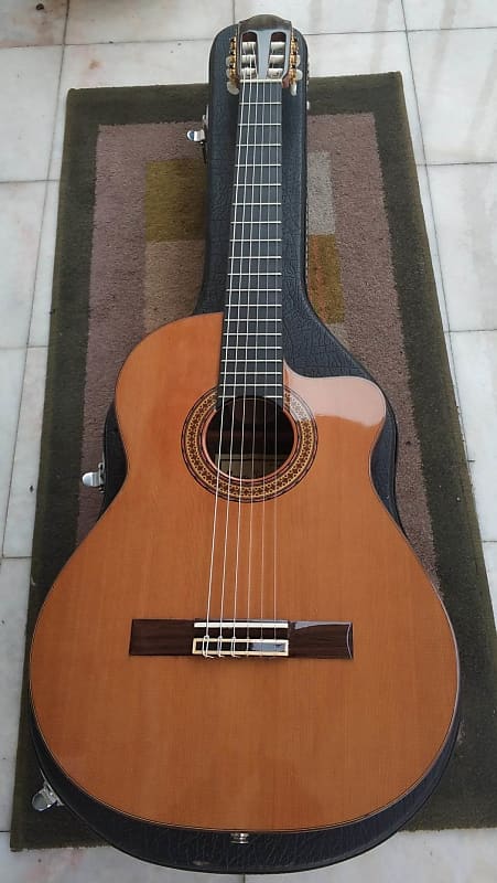 Raimundo 660E 2004 - Wood | Reverb