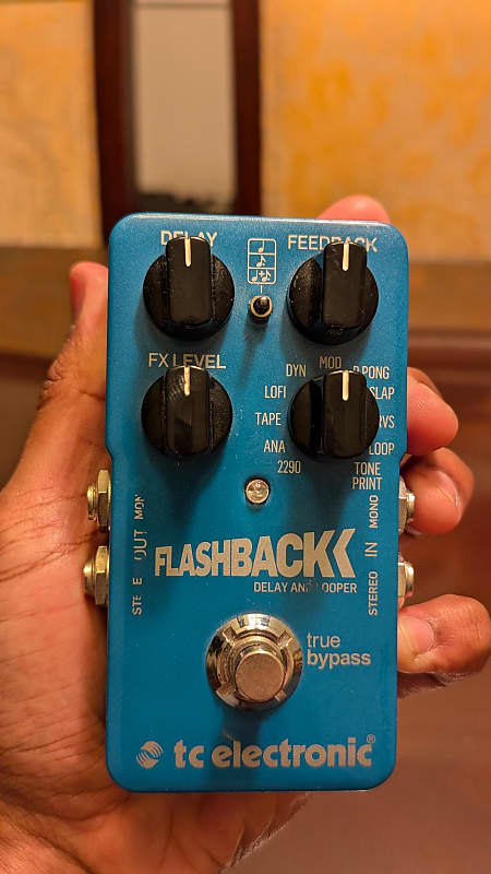 TC Electronic Flashback Delay & Looper 2014 - 2017 - Blue | Reverb