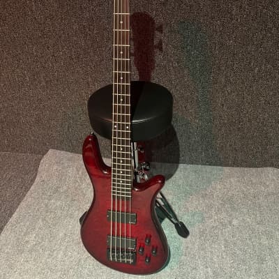 Spector NS 2000/4 Early 2000's Black Trans | Reverb