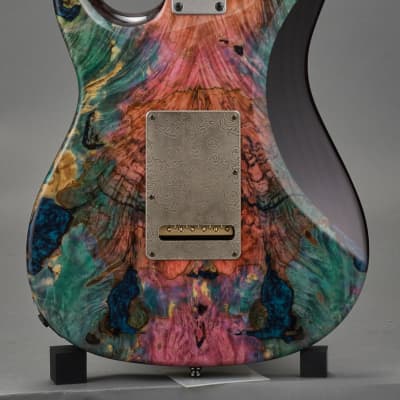 ESP Exhibition Limited EX24-02 Snapper Custom Shop 2024 - | Reverb