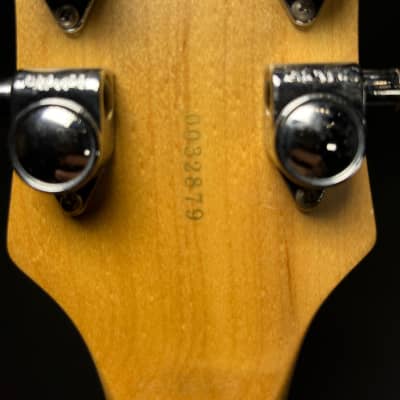 Schecter TSH-1 Diamond Series Semi Hollow Body electric | Reverb