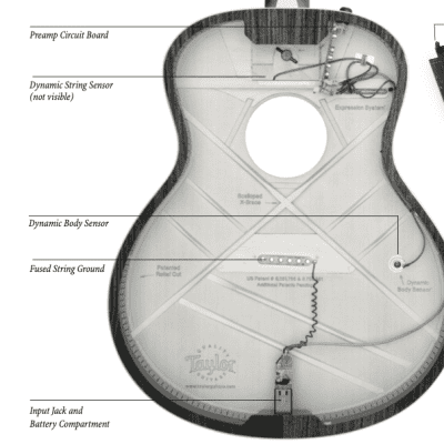 Taylor Dynamic body sensor + cables for Expression System | Reverb