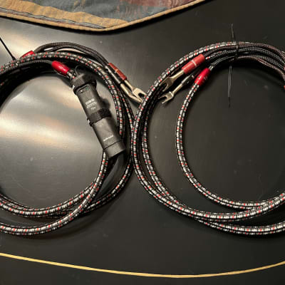 AudioQuest CV-8 Speaker Cables w/72v dbs packs | Reverb