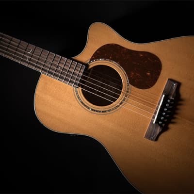 Cort Gold Series A6 Auditorium w/ Fishman Flex Blend | Reverb