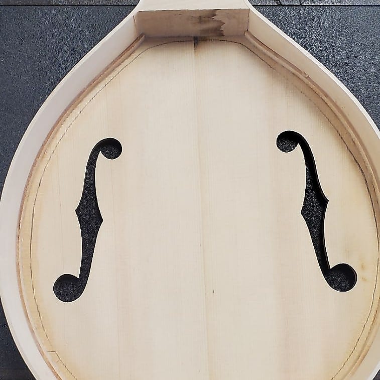 Saga AM-10 Mandolin Kit | Reverb