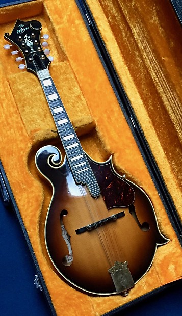 Rare and wonderful "The Aria" mandolin from the 1970 `s | Reverb