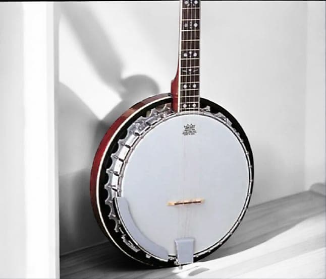 Oscar Schmidt OB5-R Bluegrass (5 String) Banjo | Reverb