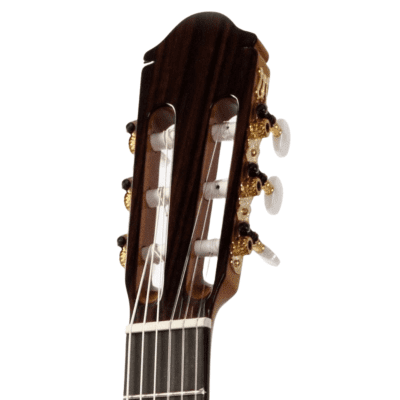 Raimundo 130 Classical Guitar | Reverb