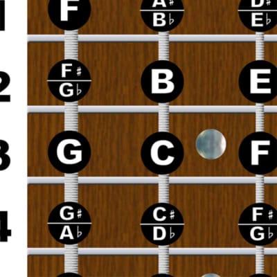 Laminated 4 String Bass Fretboard Chart Poster Nashville | Reverb