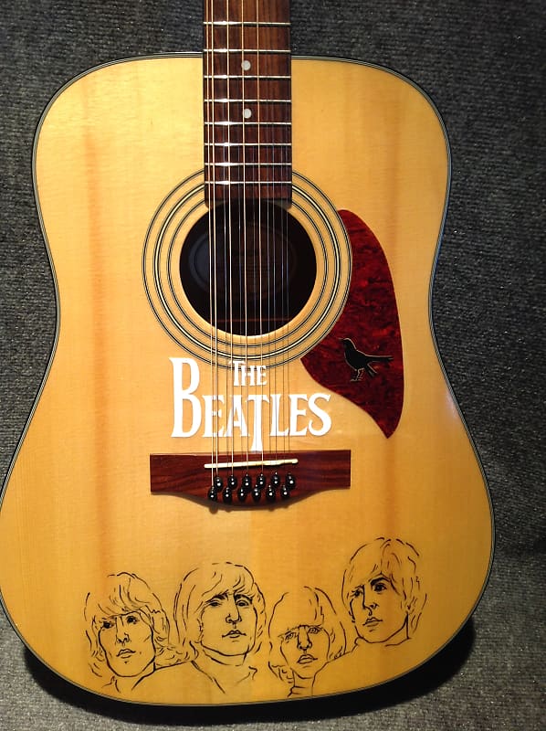 Fender Acoustic 12 String "Beatles Tribute". Blackbird | Reverb