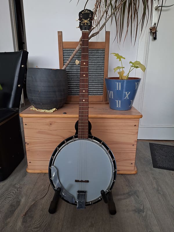 Eko 5 string banjo 1970's | Reverb