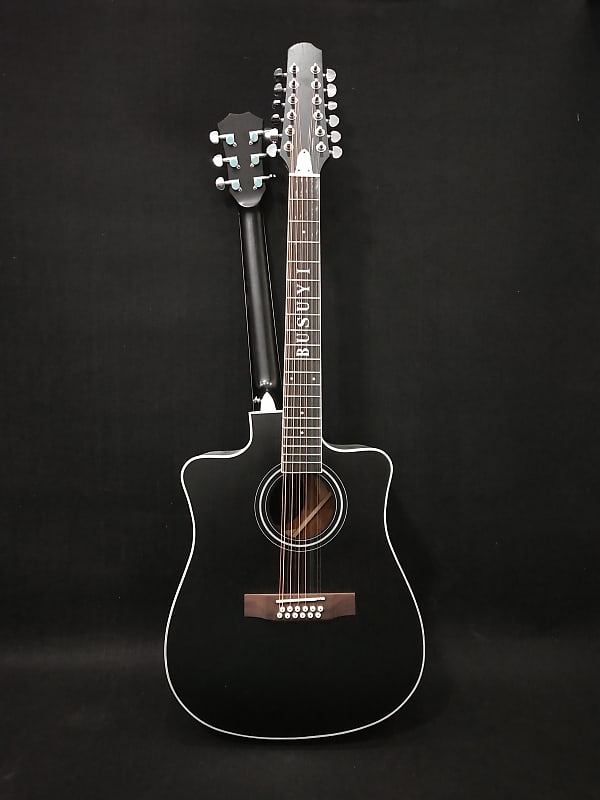 12 String / 6 String Acoustic Electric, Double Sided Busuyi | Reverb