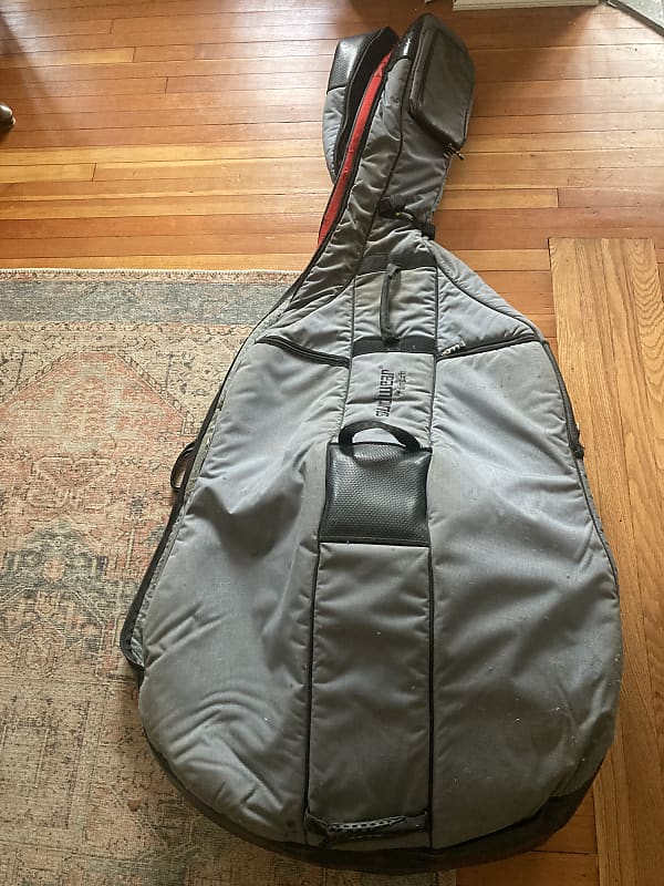 Upright Bass Case | Reverb