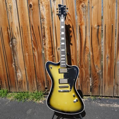 ESP LTD SIGNATURE SERIES - Vintage Silver Sunburst Bill | Reverb