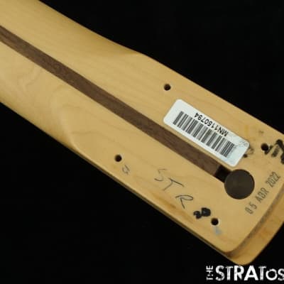 Fender Player Stratocaster Strat - NECK * Modern "C" Shape | Reverb