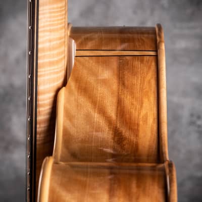 Lavoie Guitars Baryton Archtop (9 strings) | Reverb