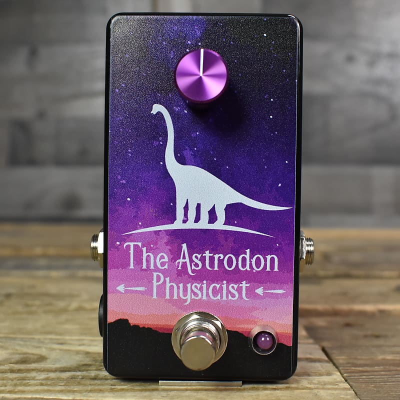 Steggo Astrodon Physicist | Reverb