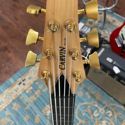 Carvin 6-String Fretless Bass | Reverb