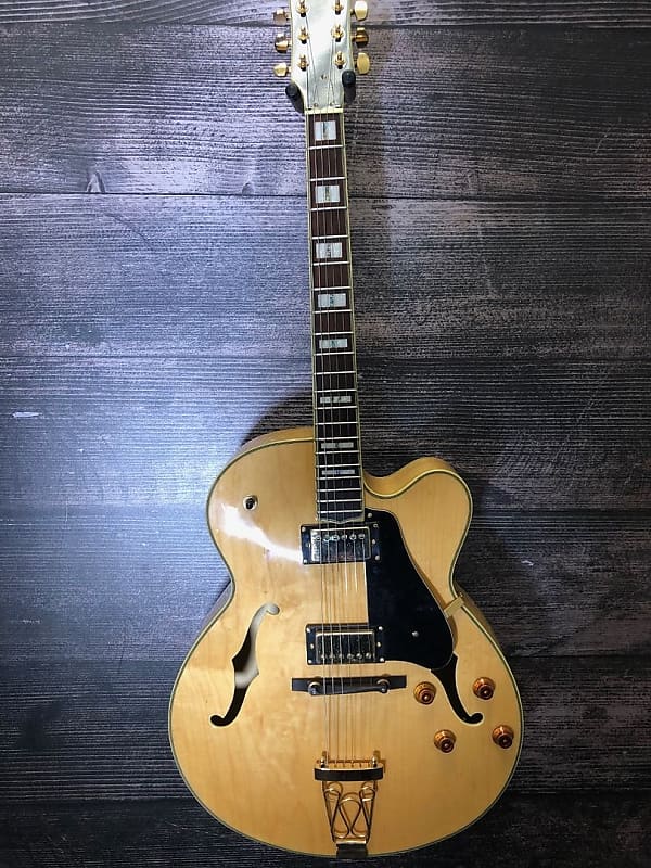 S101 Hollowbody Electric Guitar (Philadelphia, PA) | Reverb